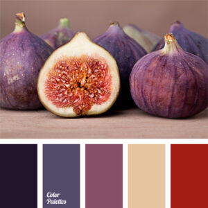 Color Palette #105 | Qi Concept