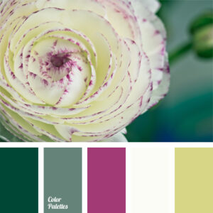 Color Palette #239 | Qi Concept