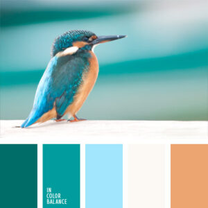 Color Palette #589 | Qi Concept