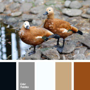 Color Palette #644 | Qi Concept